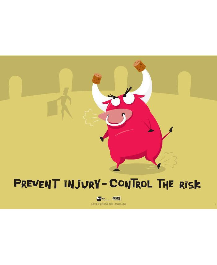 594x420mm - Laminated Safety Poster - Prevent Injury - Control the Risk ...